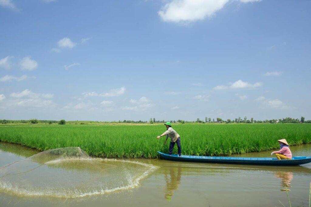 Reducing emissions from rice cultivation - Food Forward NDCs