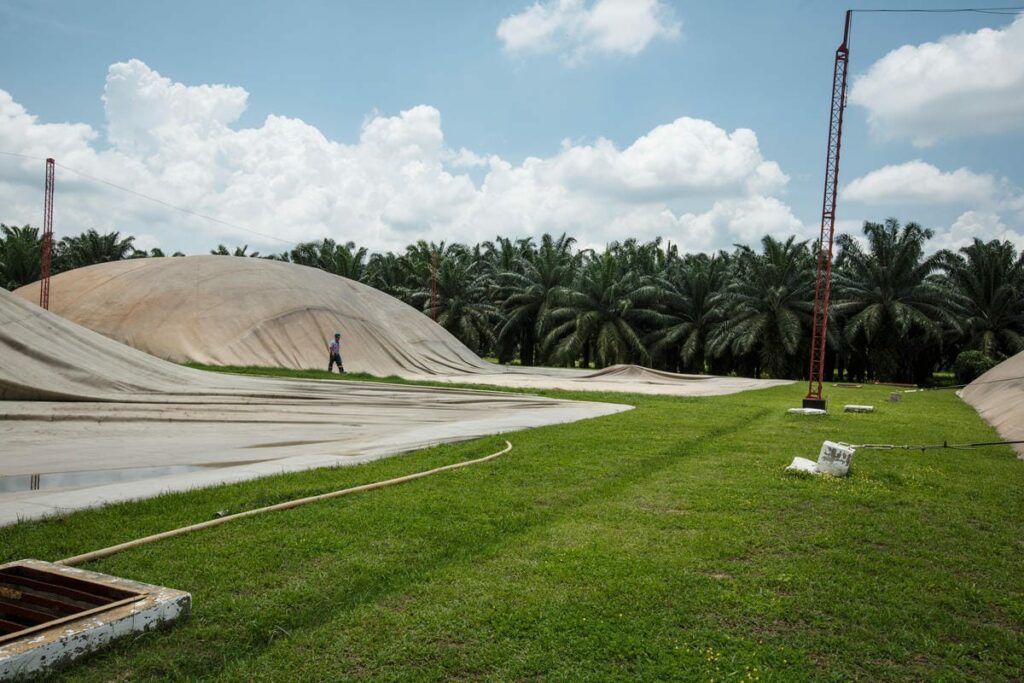 Building circular food systems in cities - Food Forward NDCs