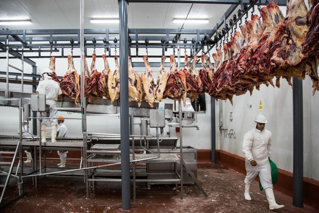 Regulating food quality and safety - Food Forward NDCs